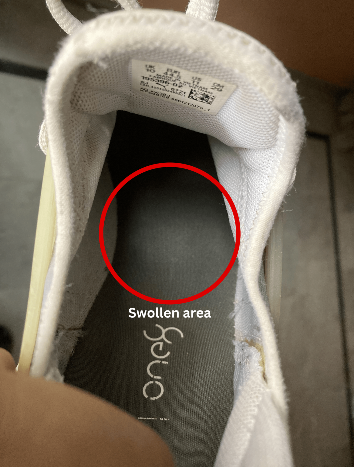 Midsole of shoe: Every athlete should know this!